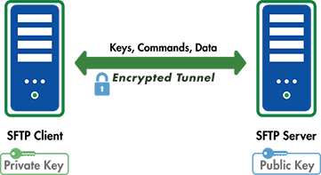 Xenius | Belgische Webhosting & Domeinregistratie